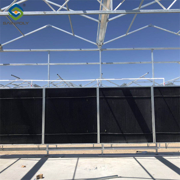Quality SAINPOLY Interior Light Dep Greenhouse With Block Sunshine Systems for sale
