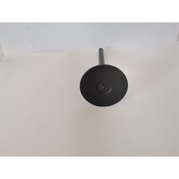 Quality Steel Material 98468338 Diesel Engine Valve / Inlet Valve For FIAT IVECO for sale