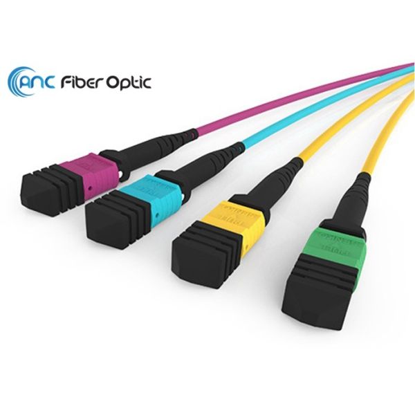 Quality 24F 48F 72F 96F 144F MPO Cable Assemblies MPO To MPO Trunk Cable Assembly for sale