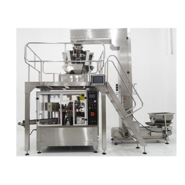 Quality Rotary Chips Biscuit Premade Pouch Packing Machine for sale