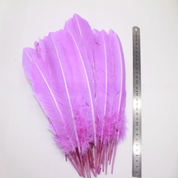 Quality Party Decoration Colored Turkey Feathers Event Supplies 10-12 inch for sale