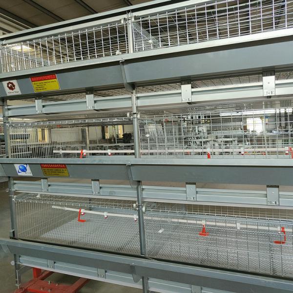 Quality 208 Birds Broiler Chicken Cage for sale