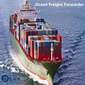 Quality Shanghai To Long Beach USA Affordable DDP Sea Freight for sale