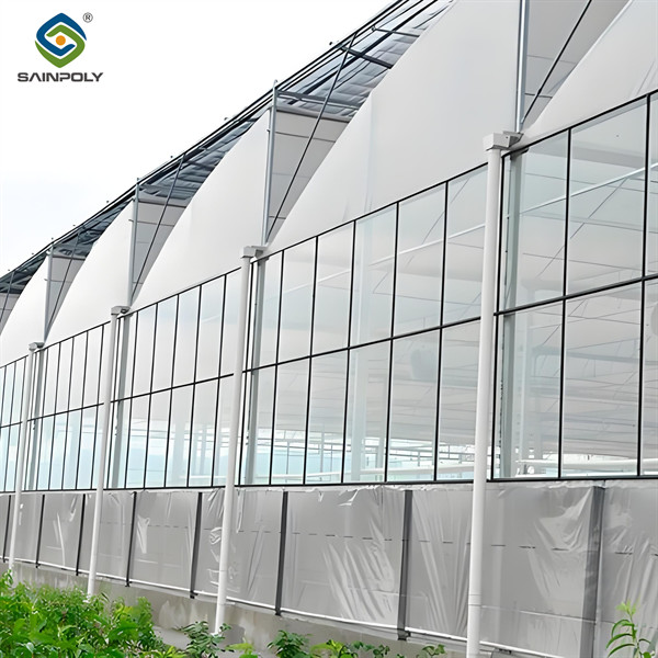 Quality Galvanized Steel Gothic Shaped Greenhouse Snow Resistance With Ventilation System for sale