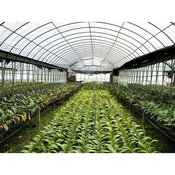 Quality Prefabricated Light Steel Structure Agricultural Vegetable Greenhouse Q235 for sale