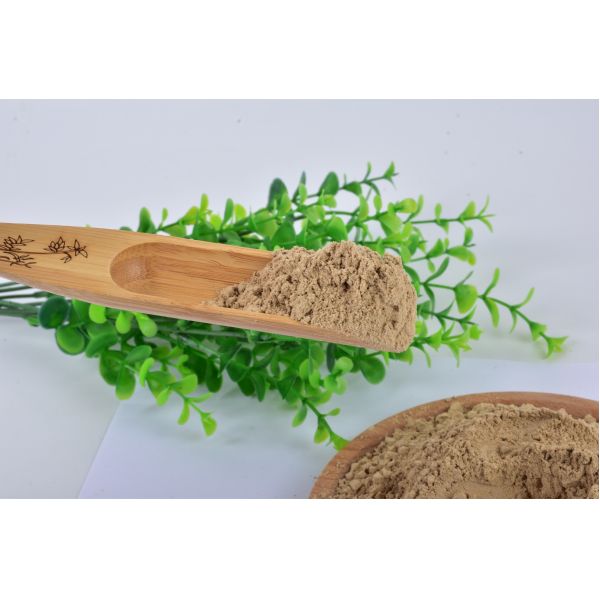 Quality Moisture Controlled Mealworm Protein Powder with Dried Mealworm for sale