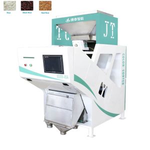 Quality 1 Chute CCD Rice Color Sorter Machine 80 Channels 260kg for sale