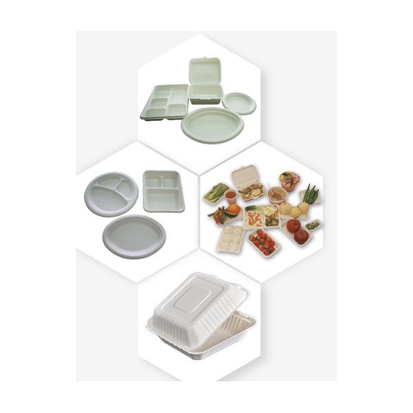 Quality automatic disposable Biodegradable sugarcane paper pulp food box making machine for sale