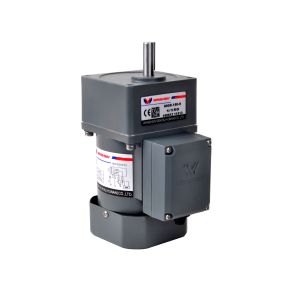 Quality AC 6 - 250W 220V Compact Geared Motor For Conveyor Belt for sale