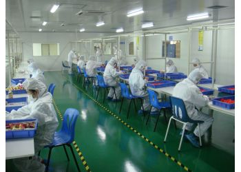 China Factory - Hongxiang Plastic Product Co.Ltd