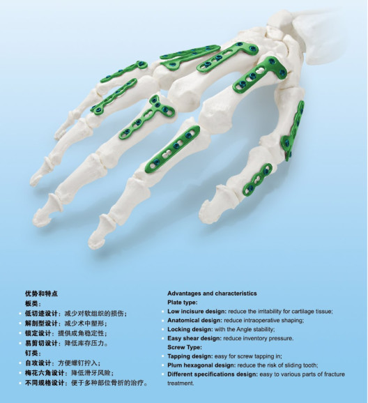 Quality Straight Metacarpal Titanium Bone Locking Plates III CE ISO 13485 for sale