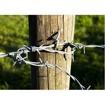 Rust Resistance Double Strand Reverse Twist Stainless Steel Barbed Wire