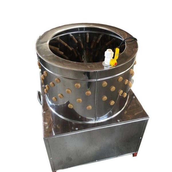 Quality Stainless Steel 1400r/min Automatic Electric Chicken Feather Plucker Machine for sale