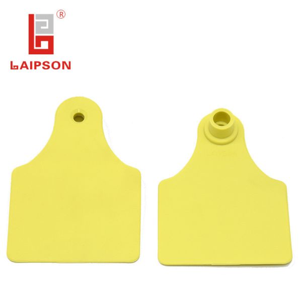 Quality Middle Size Livestock Cattle Ear Tags Anti Fading Yellow 79*56mm TPU Material for sale