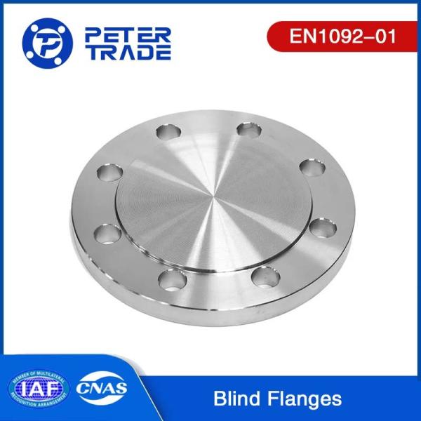 Quality Carbon Steel Blind Pipe Flange PN63 BLFF Flat Face EN1092-01 TYPE 05 for Higher for sale