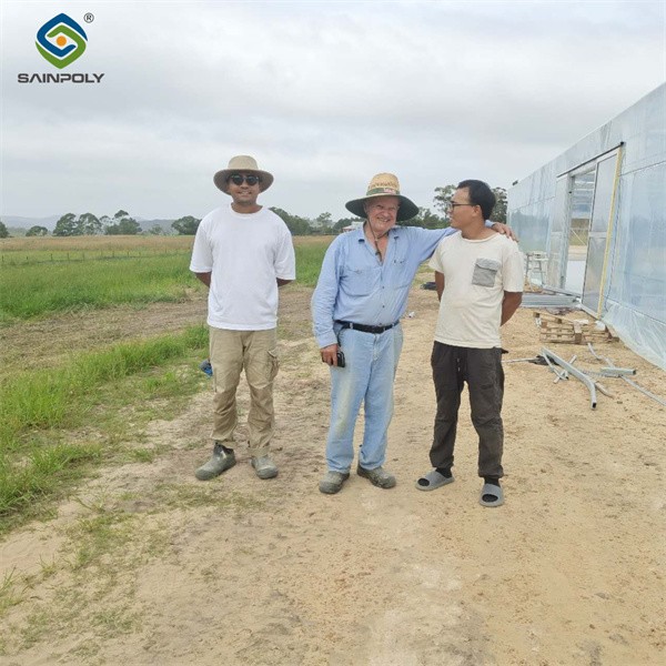 Quality Stable Structure Agricultural Multi Span Greenhouse 30-100m Length for sale