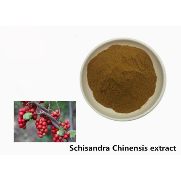 Quality Hepatoprotective 5.2% Schisandra Chinensis Plant Extract Powder for sale