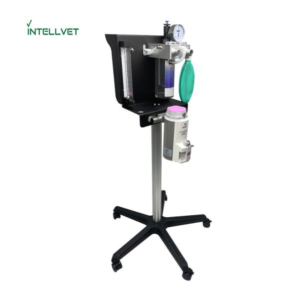 Quality Animal Anesthesia Machine Medical Equipment Equipment Icu Surgical Anesthesia for sale