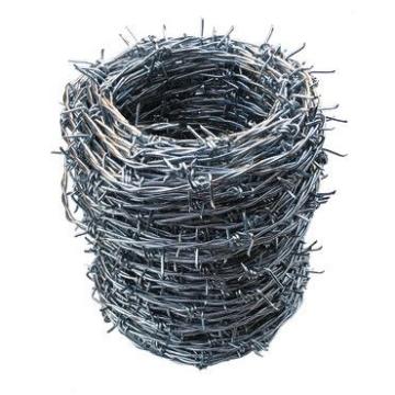 Quality Hot Dipped Galvanized Barbed Wire Price Per Roll for sale