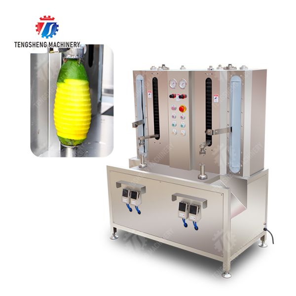 Quality Melon and fruit double-head with single cutter peeling machine papaya chieh-qua for sale