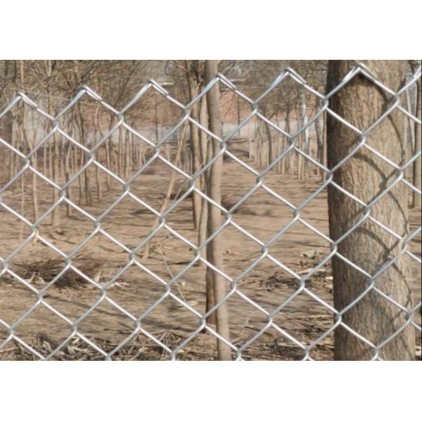 Quality 4.8mm Galvanized Chain Link Fence 50m Roll Diamond Hole Mesh for sale