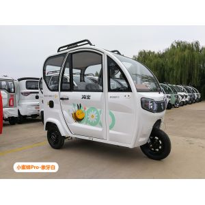 Quality Big Space Electric Passenger Tricycle Road Legal Electric Trike Enclosed for sale
