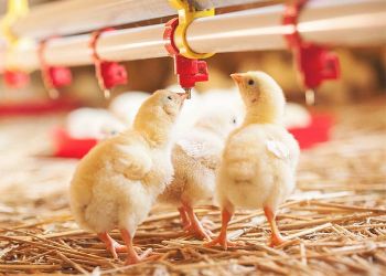 China Factory - Langfang Sun Never Setting Plastic Products Co., Ltd.