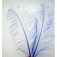 Quality Handmade Multi Colored Millinery Feather Burnt Ostrich Plumes Feather 50-55cm for sale