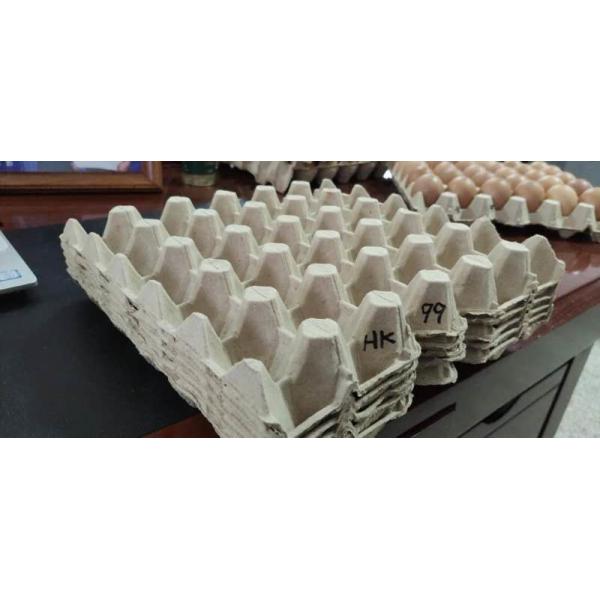 Quality Waste Paper Pulp 200KW Egg Tray Making Machine for sale