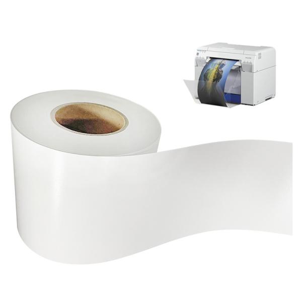 Quality 240gsm 5 Inch Dry Minilab Photo Paper Waterproof Scratchproof for sale