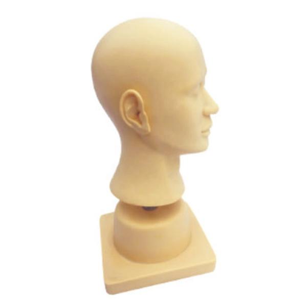 Quality Teaching Ear and Head Model Manikin with External Auditory Canal Irrigation for sale