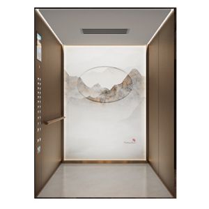 Quality Large Loading Passenger Elevator Traction Machine Driven Office Building for sale