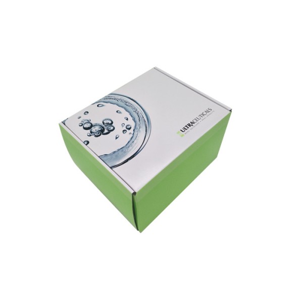 Quality Custom Printed Shipping Boxes Standard Gloss Or Matt Lamination Finishing for sale