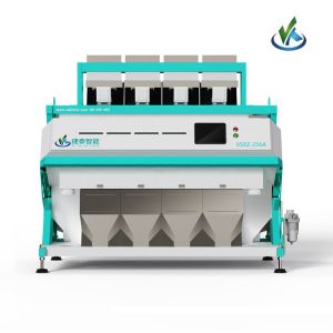 Quality Ce Approval Mini 256 Channels Rice Grain Color Sorter For Cereals for sale