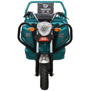 Quality Elder Pedal Assisted 3.1m*1m Electric Cargo Tricycle for sale