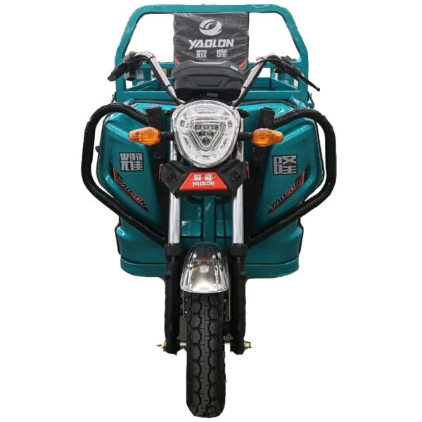 Quality Elder Pedal Assisted 3.1m*1m Electric Cargo Tricycle for sale