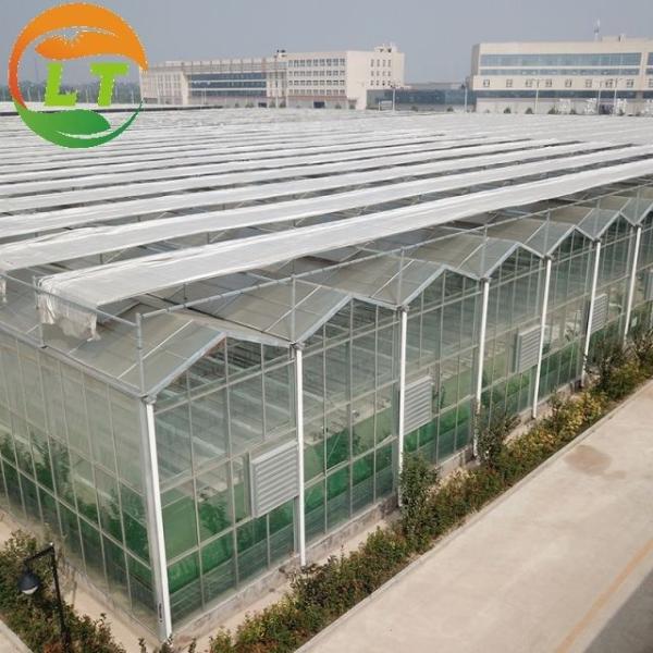 Quality Multi-span Glass Greenhouse Agricultural Instruction with Super Strong for sale
