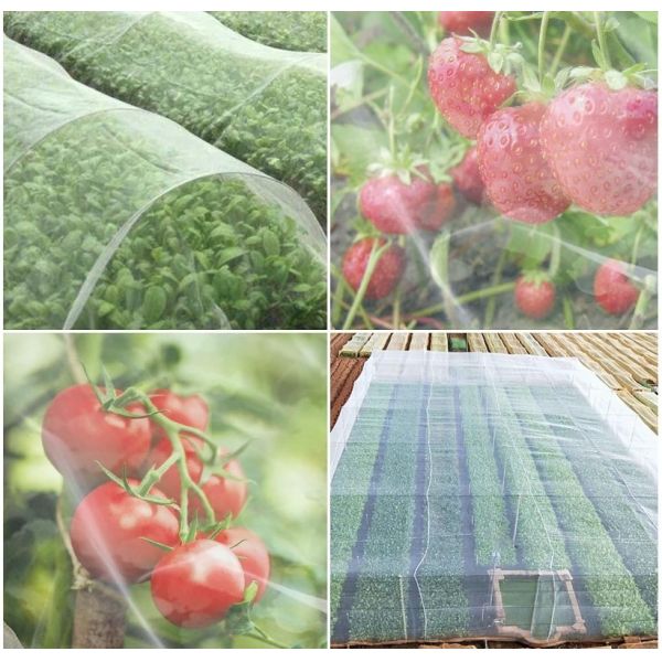 Quality HDPE Anti-UV Insect Netting Ideal Solution For Nursery Fruit Tree Protection for sale
