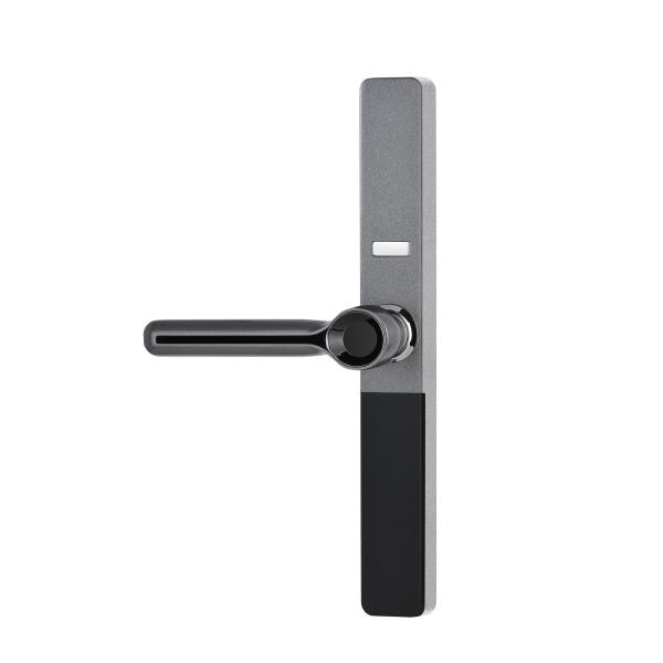 Quality IP65 Antifreezing Aluminum Frame Fingerprint Glass Door Smart Lock for sale