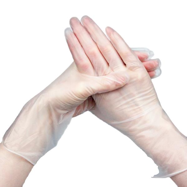 Quality 9 Inch Powder Free Disposable Vinyl Gloves For Foodservice for sale