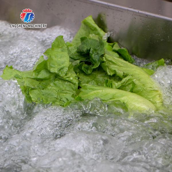 Quality Canteens Turbidity Reduce Fruit And Vegetable Washing Machine Sediment Discharge for sale