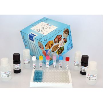 Quality Deoxynivalenol (DON) Column Kit Mycotoxin ELISA Kit For Food and Feed Analysis for sale
