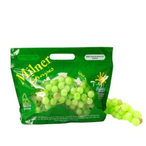Quality Custom High Quality Zip Lock Plastic Bags for Fresh Food Storage Pouch Logo for sale