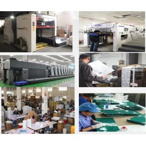 China Factory - Senior Pack-Tech Shanghai Ltd.