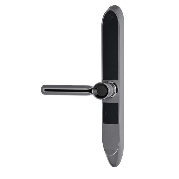 Quality IP65 Antifreezing Aluminum Frame Fingerprint Glass Door Smart Lock for sale