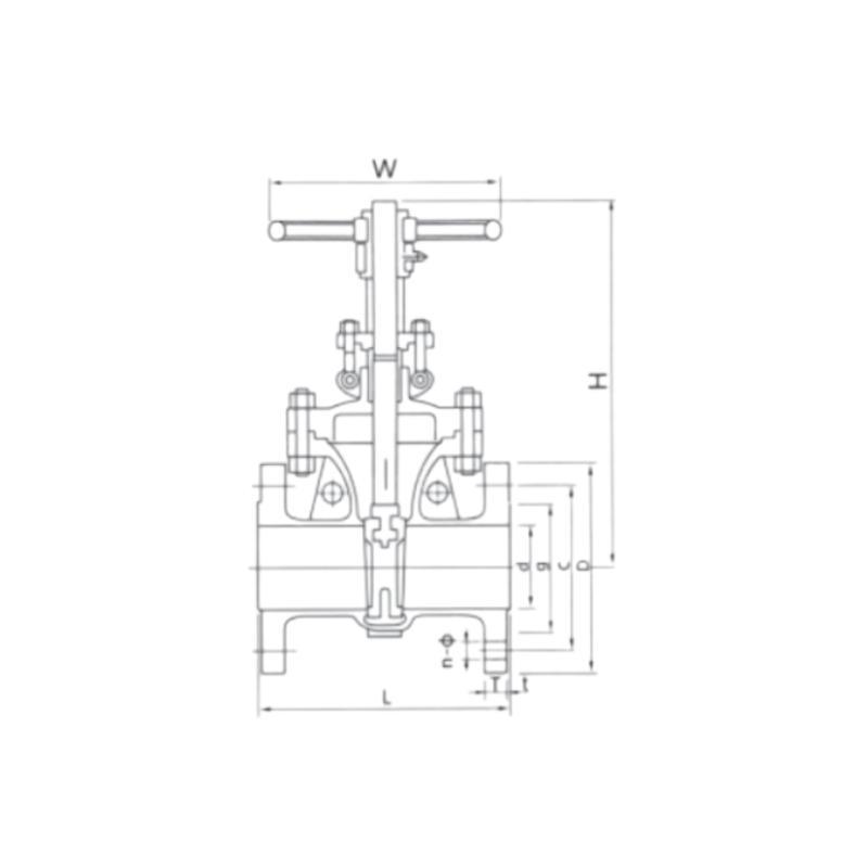 Z41W-150/300/600lb ANSI Flanged Gate Valve CF8