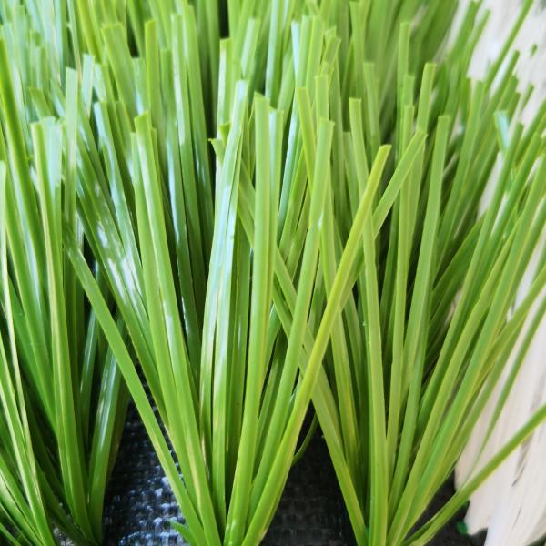 Quality 20stitches/m Stitch Rate 55mm Artificial Turf for Soccer Field Synthetic Grass for sale