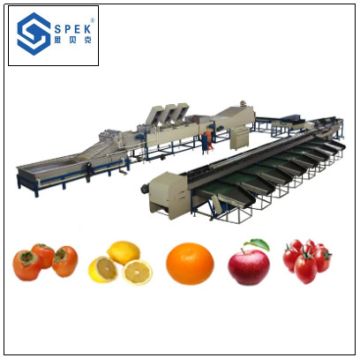 Quality automatic fruit apple washing and waxing and sorting macine fruit sorting for sale