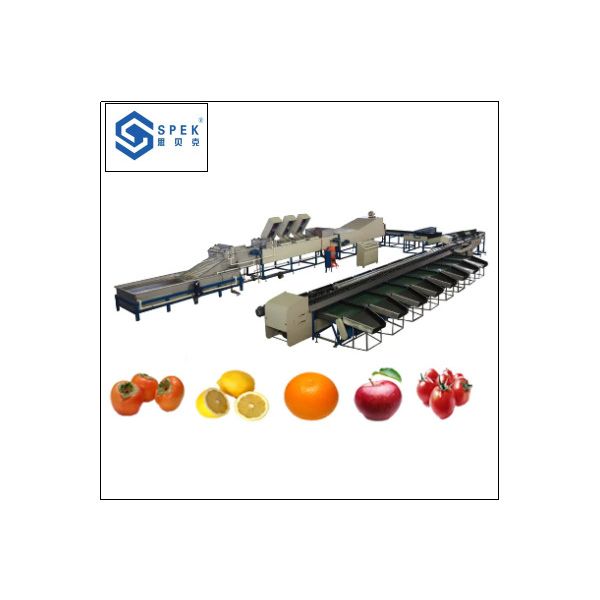 Quality Automatic Fruit Washing Waxing And Sorting Machine for sale