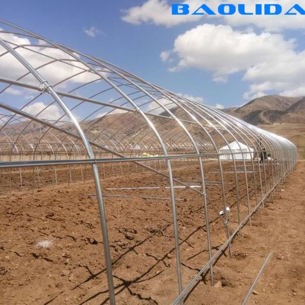 Quality Crops Hoop House Greenhouse / High Tunnel Hoop House Plastic Covering for sale